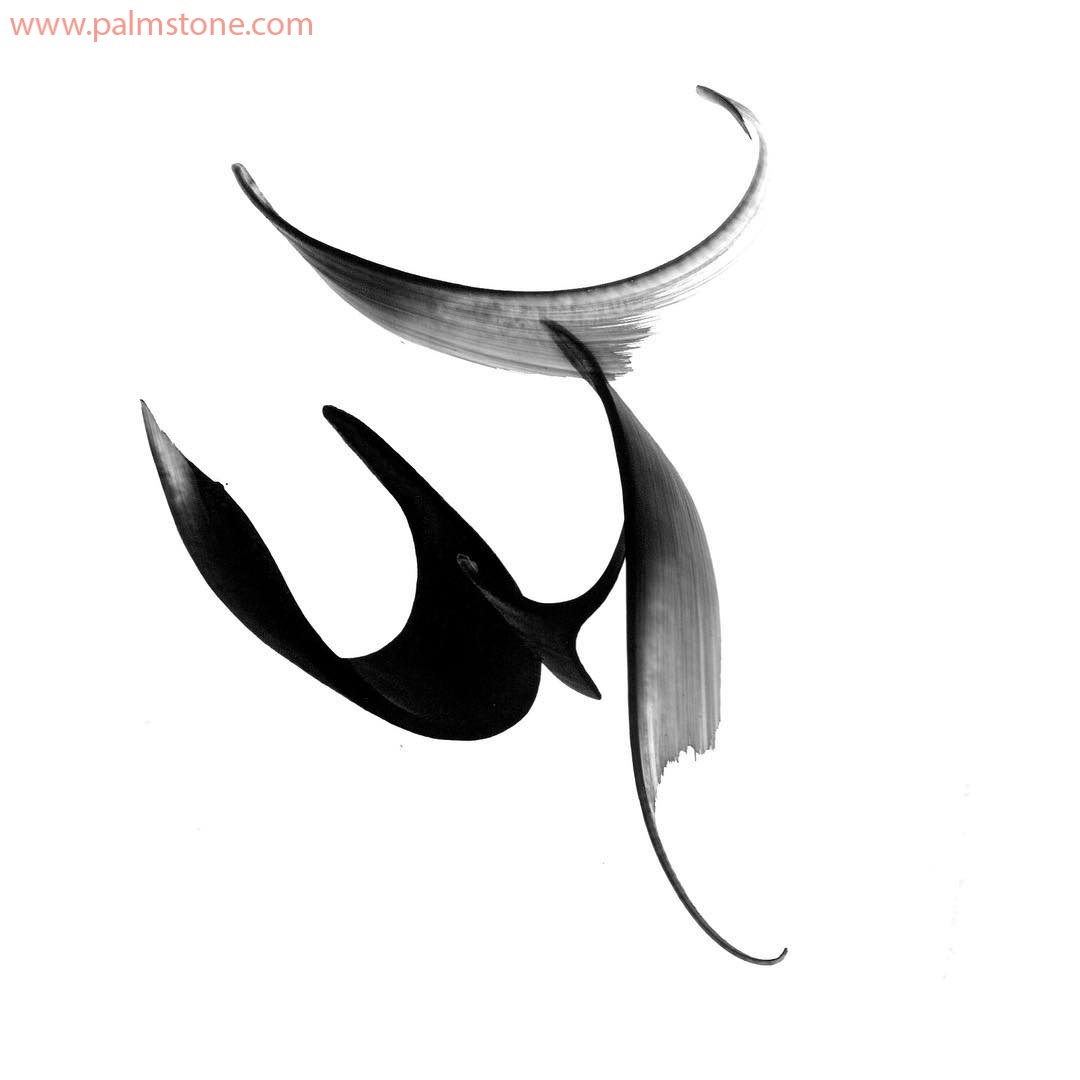 The Devanagari/Sanskrit letter "na" in brush ink style | World ...